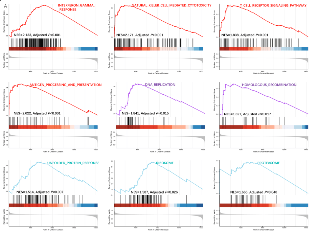 mTOR通路基因突变预测多种癌症对免疫检查 点抑制剂的反应_治疗_患者_特征