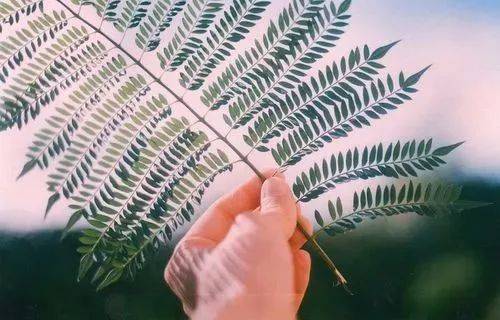 好累,好累,想跟生活请个假脚步责任离开