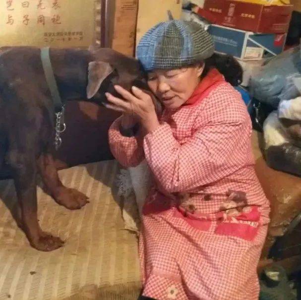 疫情之下,收养流浪猫狗24年的7旬老人该何去何从! 闫占云 毛孩子 流浪狗