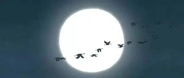 许老译 | 《水调歌头·明月几时有 Tune : "Prelude to Water Melody"》_the_moon_high