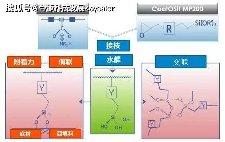 帝添科技发展（上海）有限公司CoatOSil MP 200 硅烷与水性体系广泛兼容_Silane_涂料_产品