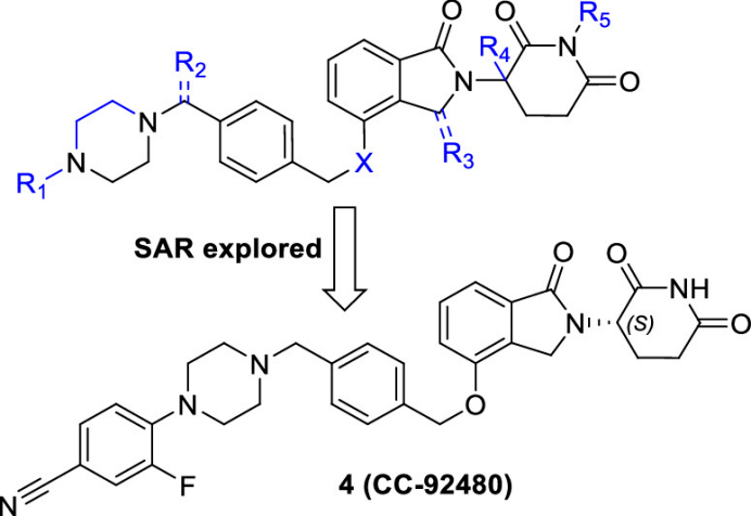 分子胶：临床上用于靶向蛋白降解的“神奇”粘合剂_沙利_作用_细胞