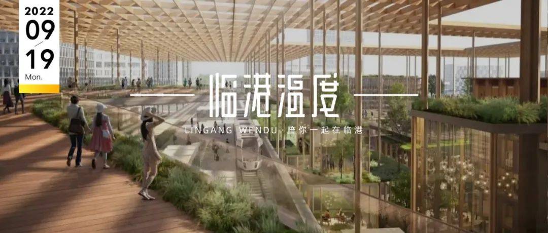 喜讯！ppas联合体荣获“临港新片区书院站枢纽地区综合开发设计方案国际征集”第一名_空间_区域_未来的