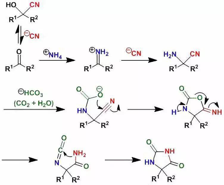 Bucherer–Bergs反应_Bioorg_氨基_Chem