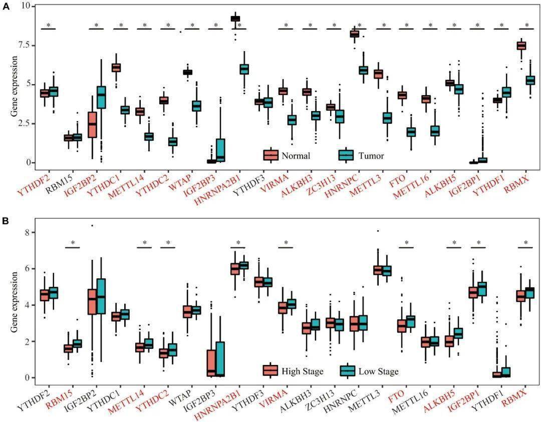 发文新热点！教你搞定5+代表作！这个RNA修饰套路，你get了没？_文献_影响_因子
