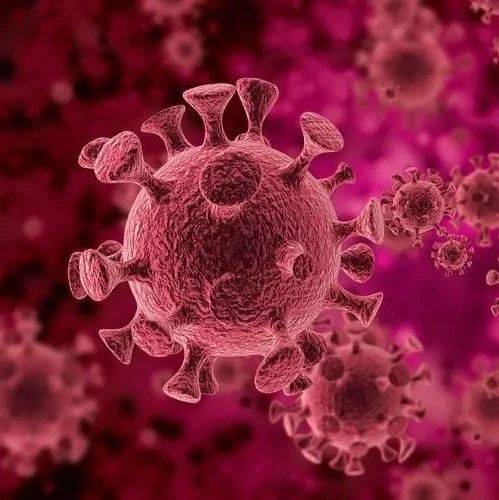 女性感染了hpv!丈夫也会感染吗?怎么检测?男性癌症肛门
