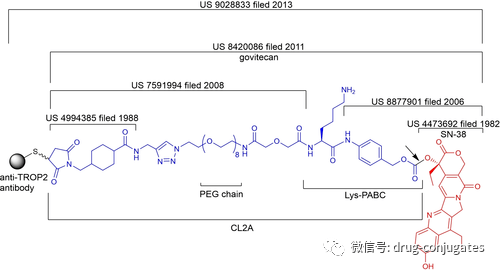 FDA已批准的ADC药物专利深度分析_linker_抗体_卡奇
