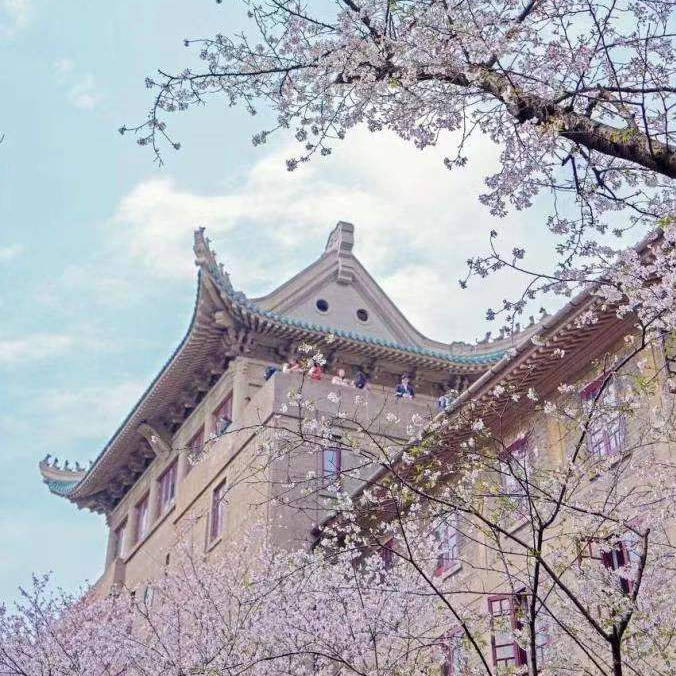 热血传奇：隐而不发却不得为之的怪物——千年树妖老树游侠橡树果