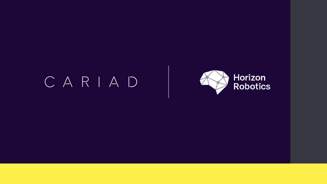 168亿与地平线合资，大众CARIAD新操作背后的三层含义_中国_新合作_公司