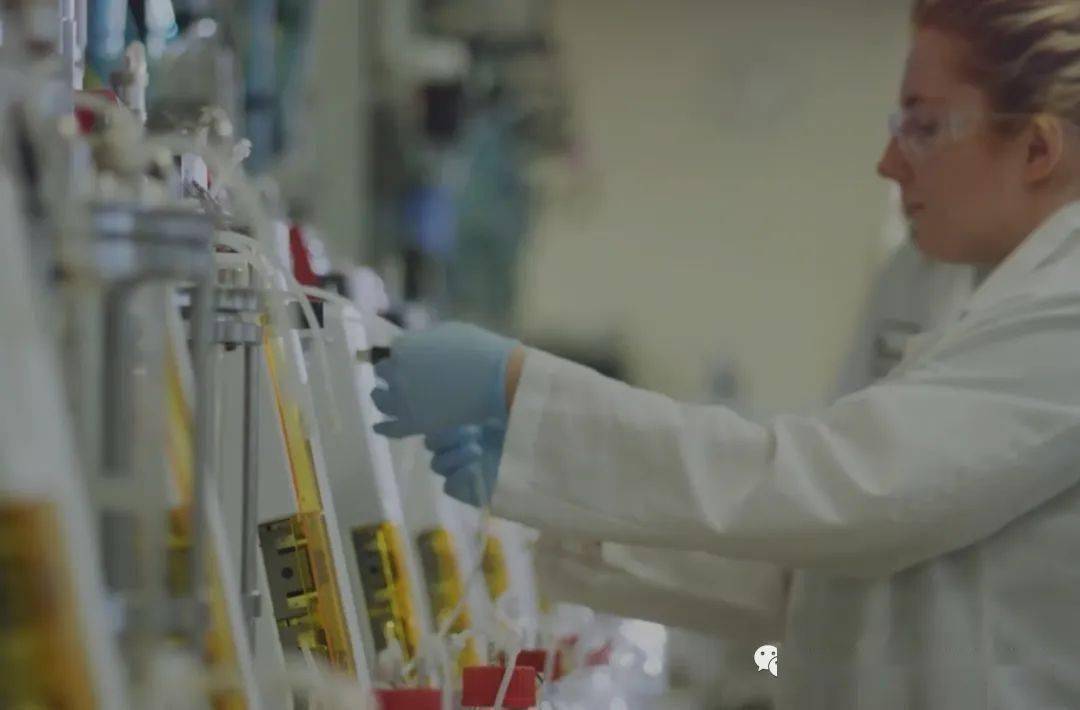 再生环保尼龙、生物基尼龙在各种织物用品中的应用_制造_产品_回收