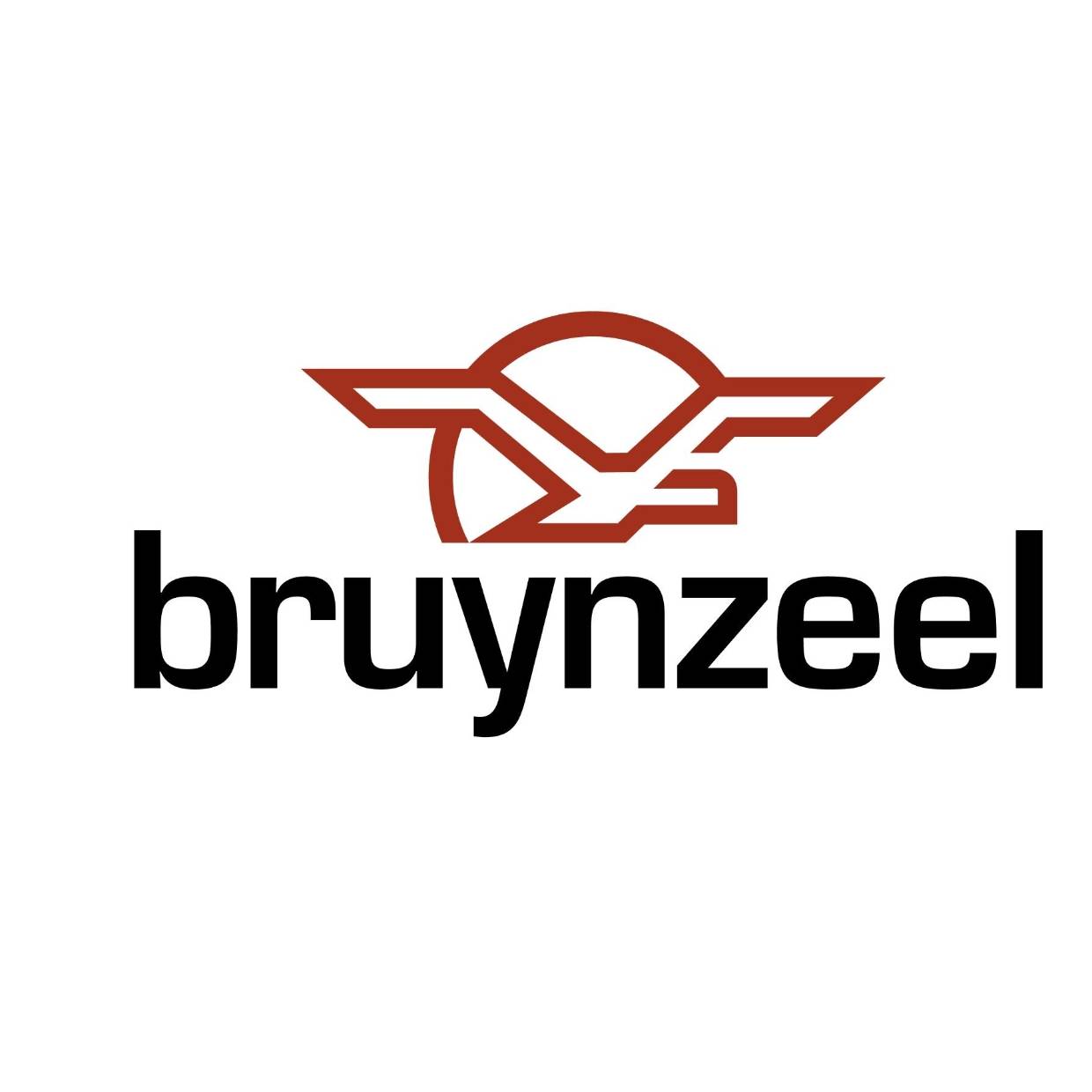 解决传统典藏仓储痛点，Bruynzeel班泽博物馆智能展柜为藏品赋能_荷兰的_方案_控制系统