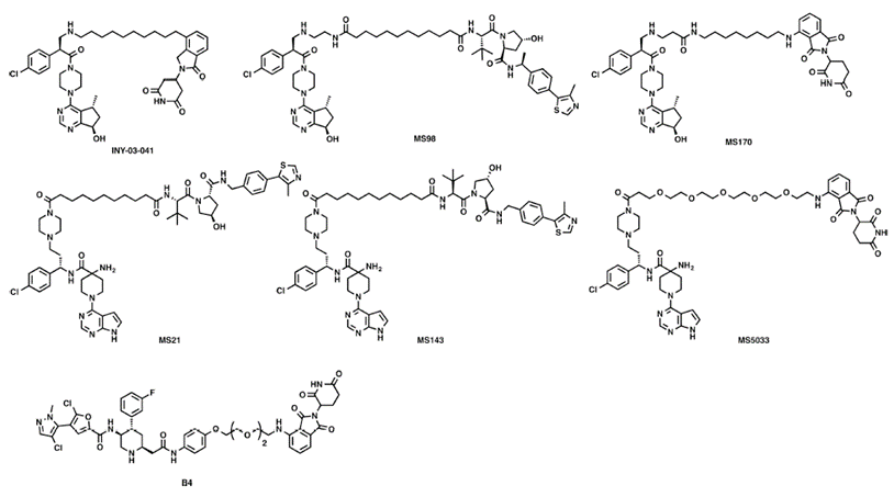 金坚团队：首个靶向AKT变构位点的PROTAC_开发_蛋白_细胞