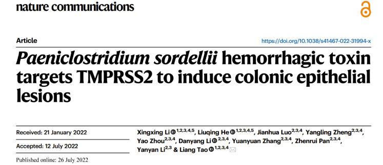Nat Commun|西湖大学陶亮课题组发现TMPRSS2不仅限“助攻”病毒感染还能介导索氏梭菌出血毒素的宿主入侵_TcsL_细胞_研究