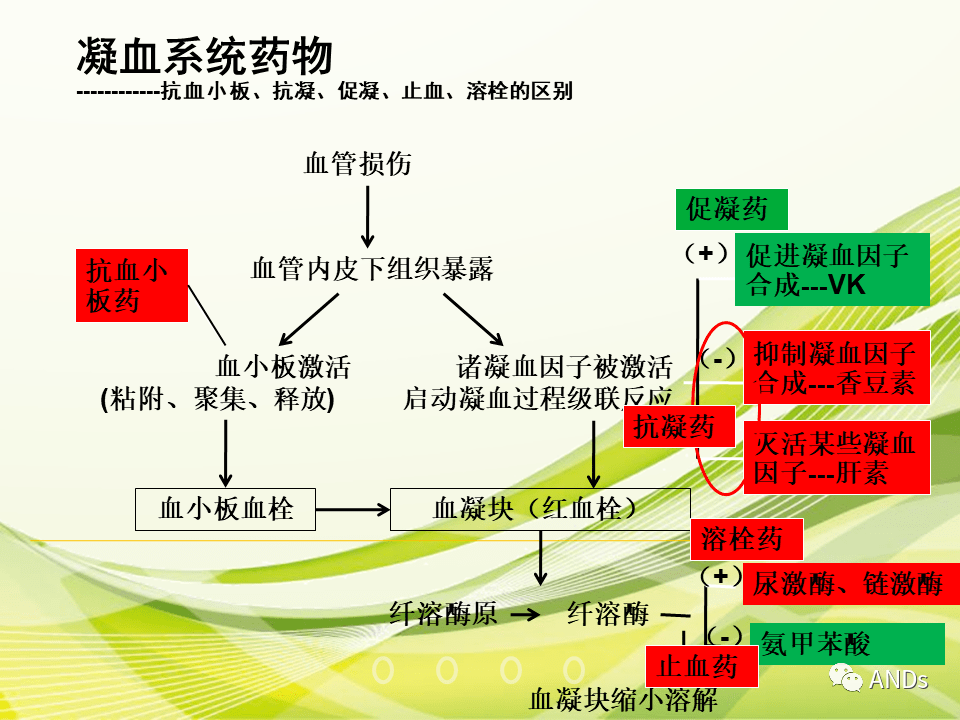 抗凝药来源其他cn