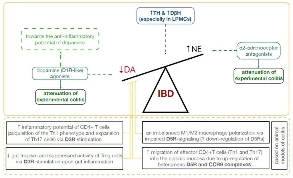 向有临床价值的FIC进发，亚虹医药们能让市场重拾信心吗？_治疗_患者_创新
