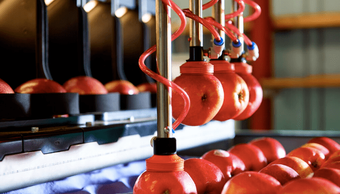 Yummy Fruit’s produce packing robot reaches 20M apple milestone_the_New ...