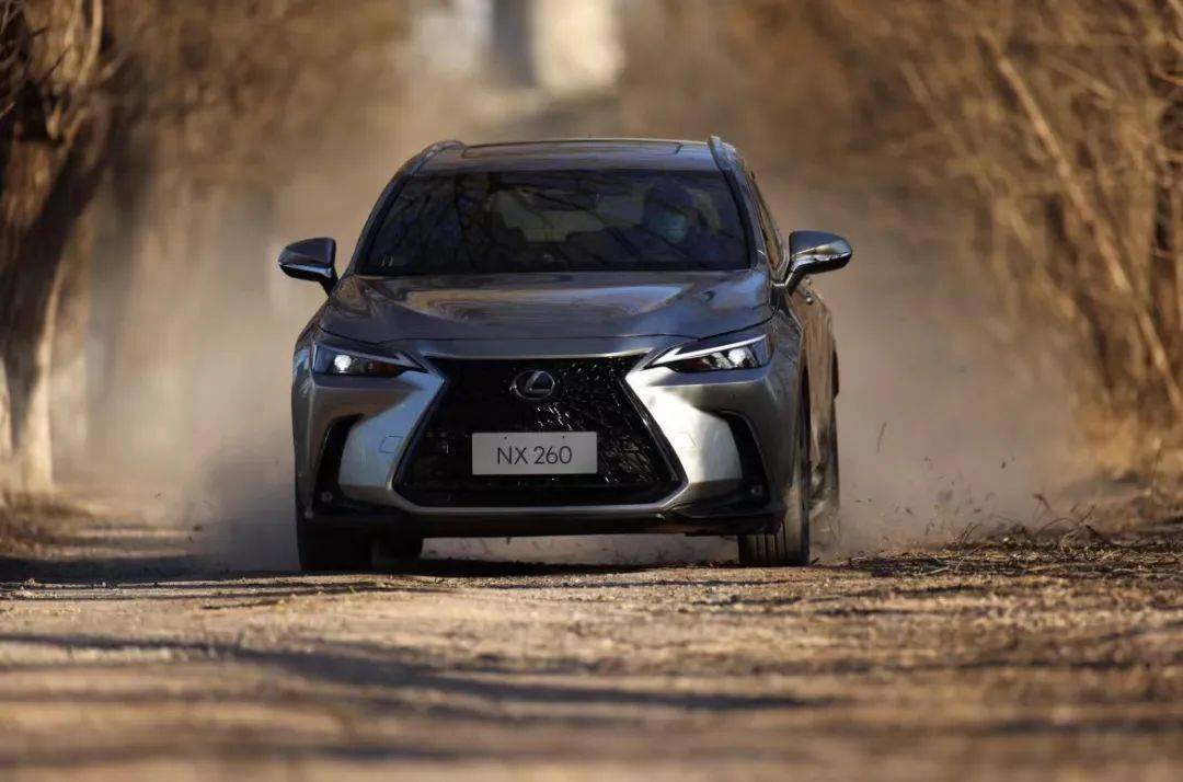 雷克萨斯NX260| 让美更进化 更向未来进发！_搜狐汽车_搜狐网