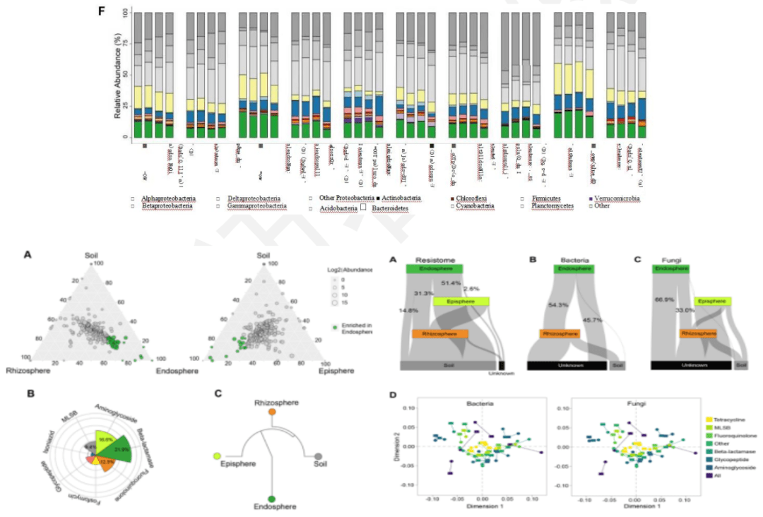 【多组学专题】多组学在微生物方向中的应用_研究_土壤_蔗糖