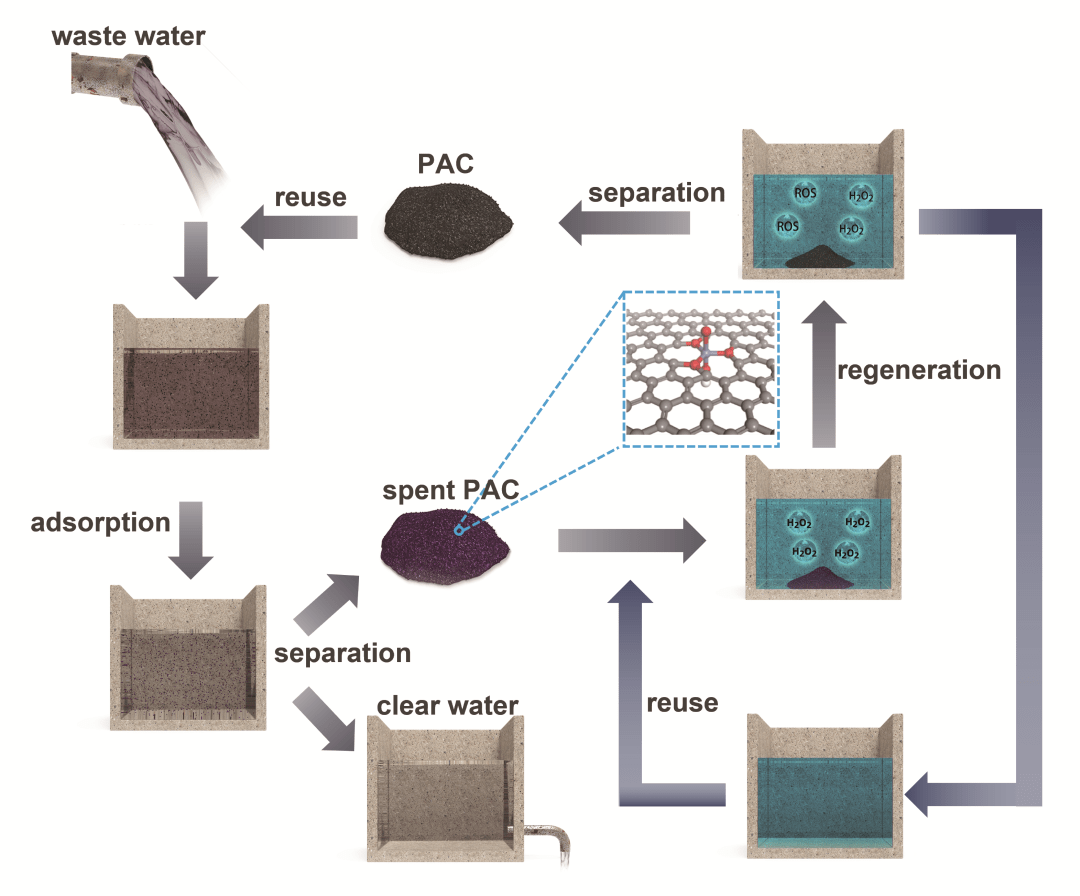 宁波材料所陆之毅课题组Adv. Sci.：孤立Fe位点在H2O2再生粉末活性炭中的妙用_吸附_应用_成本
