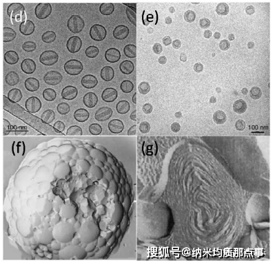 概述已上市脂质体的分类及成分_磷脂_药物_nm