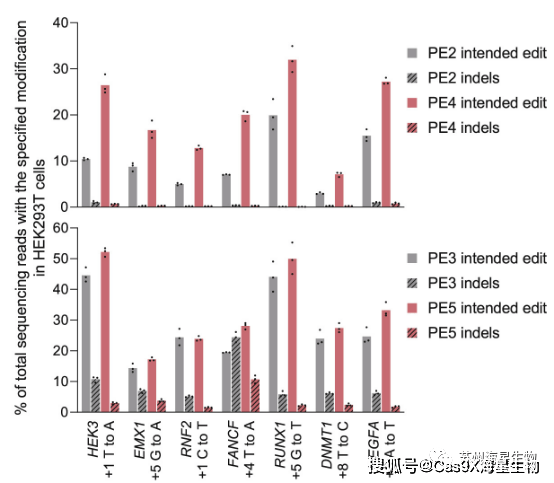 基因编辑的新工具—Prime Editing_系统_pegRNA_Adamso