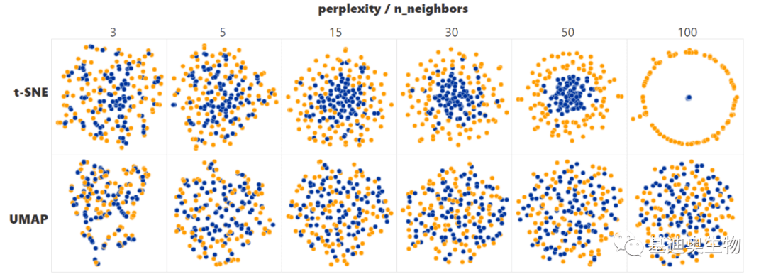 单细胞转录组tSNE和UMAP可视化有什么区别？别再问啦，这就告诉你！_数据_距离_高维