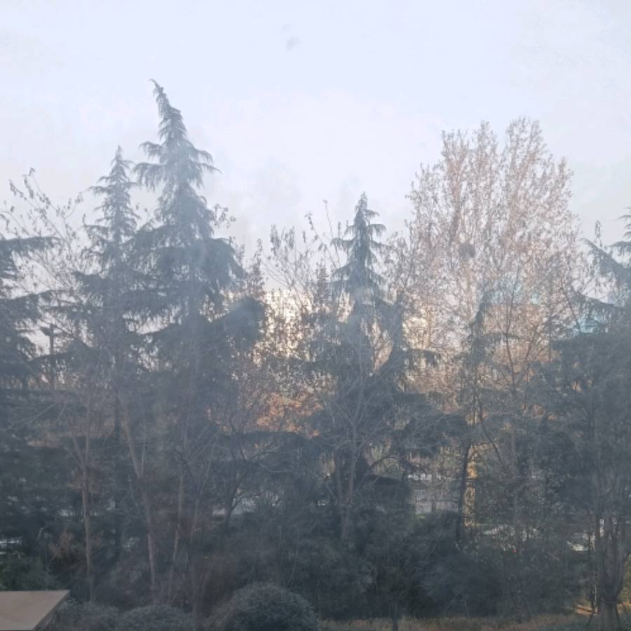 山东泰山队夺冠难度颇大，非常渺茫！ 比赛 北京国安队 联赛