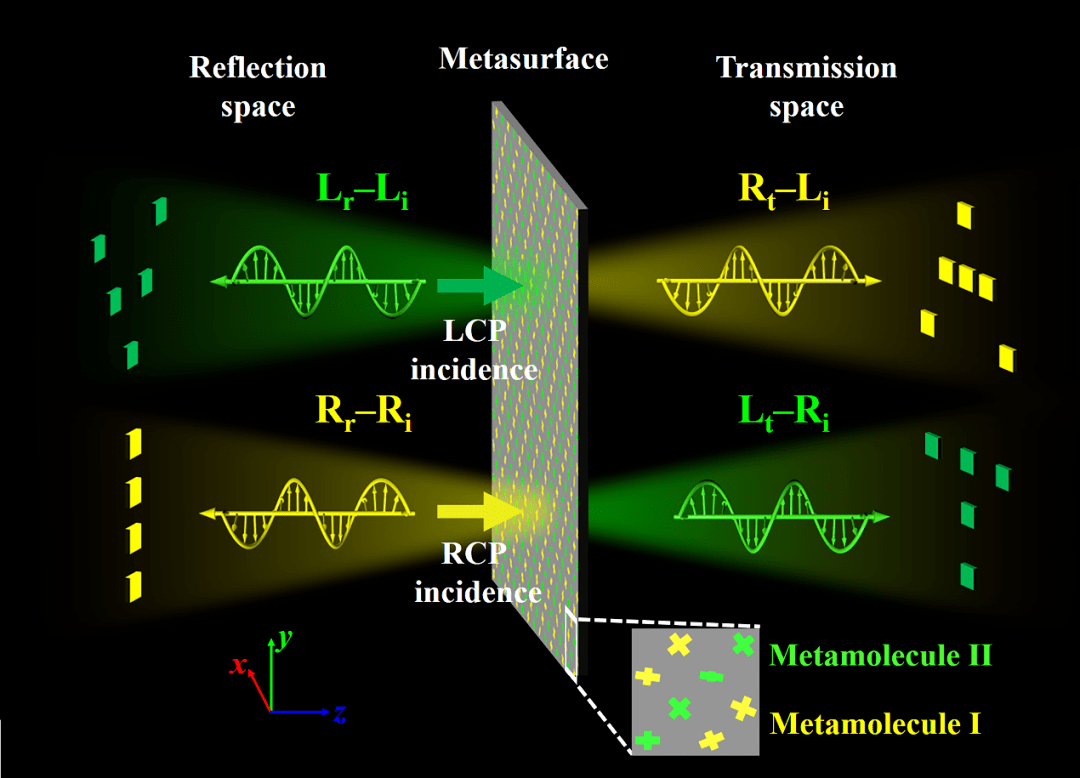 东南大学马慧锋、崔铁军团队AOM：四个圆极化通道相位独立控制的自旋-空间复用超表面