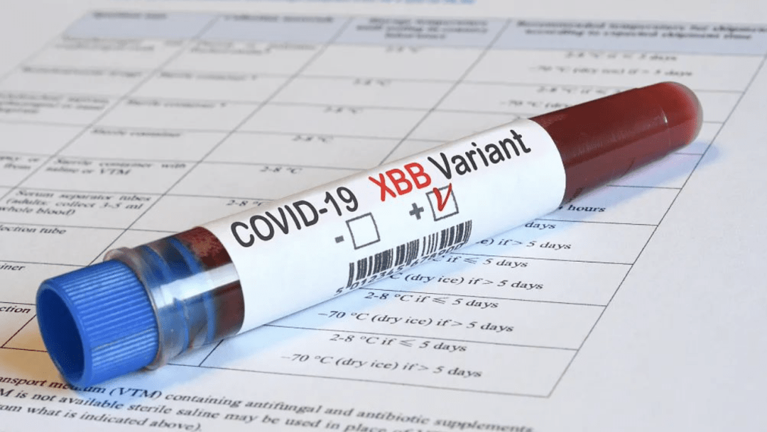 最新消息！上海：奥密克戎BQ.1和XBB毒株尚未在社会面上造成本土传播_免疫_病毒_病例