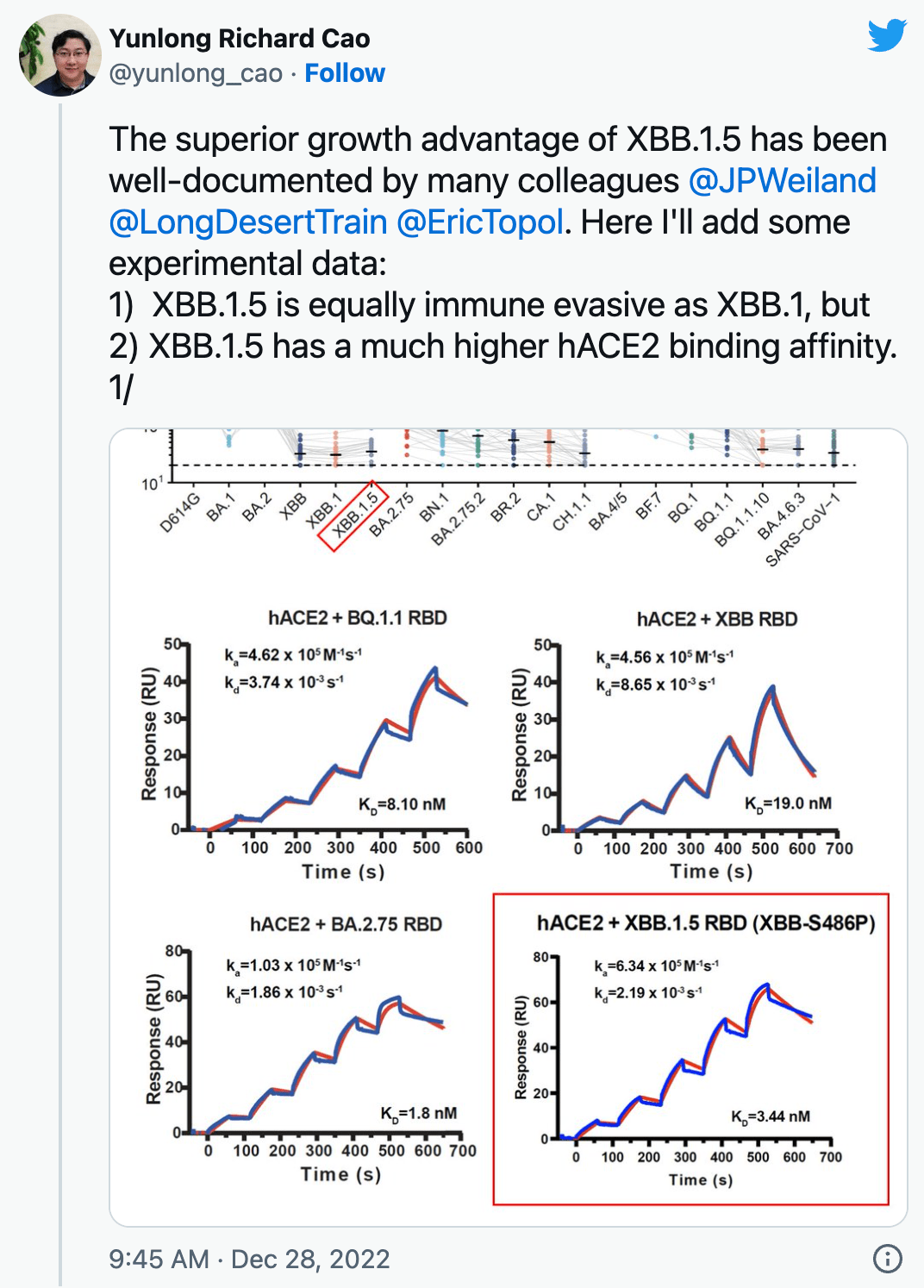 具有高度“免疫逃逸”能力！美国被奥密克戎XBB.1.5攻陷，感染人数大幅增加！_家族_细胞_规避