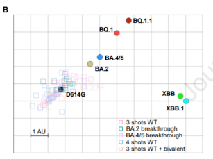 上海、杭州先后发现XBB、BQ.1毒株，Cell论文揭示它们的免疫逃逸有多强？_抗体_研究人员_接种