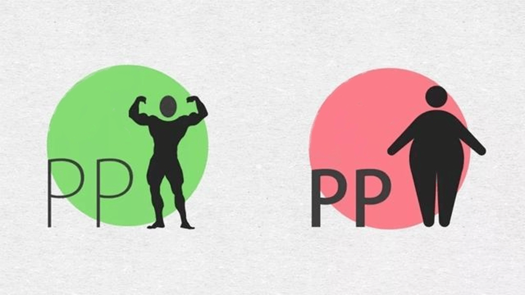 PPT汇报精准踩雷? 点击查看这份避坑指南!_文字_演讲_字号