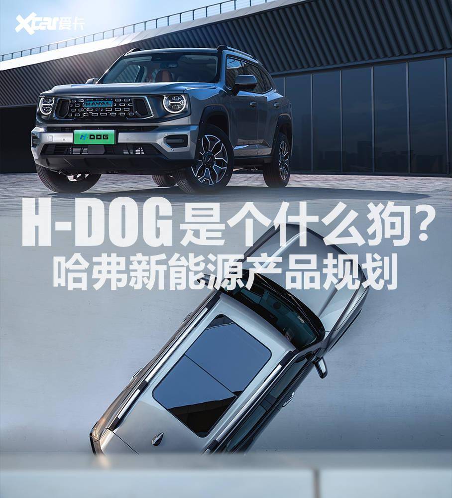 哈弗狗系列迎来“新狗” H-DOG是个什么狗？_搜狐汽车_搜狐网