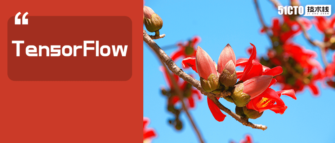 使用TensorFlow训练图像分类模型的指南_进行_Layers_数据