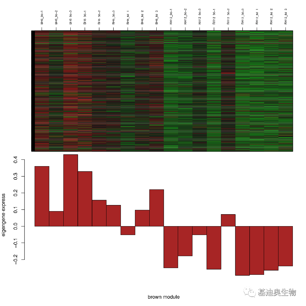 你会用WGCNA分析单细胞数据嘛？scWGCNA应用思路，干货满满_基因_模块_进行