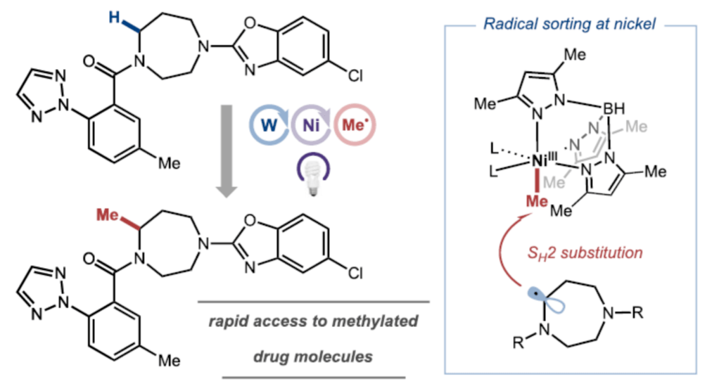 诺奖得主最新JACS：药物分子的后期C(sp3)-H甲基化反应_产物_化合物_Soc
