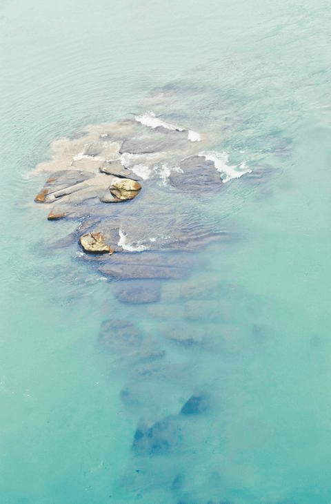 Lotus Stone emerges from water again_the_Youling_stone