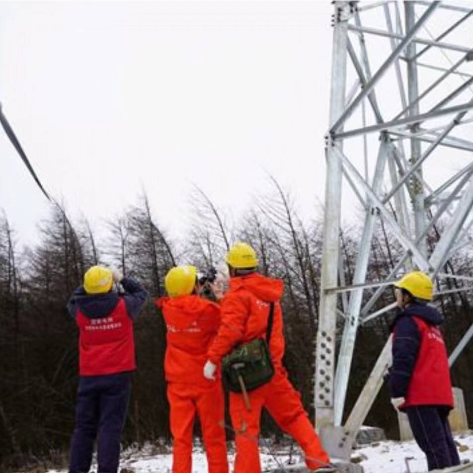 户内35KV千伏六氟化硫断路器，LN2-40.5，相距440，可以支持非标定制