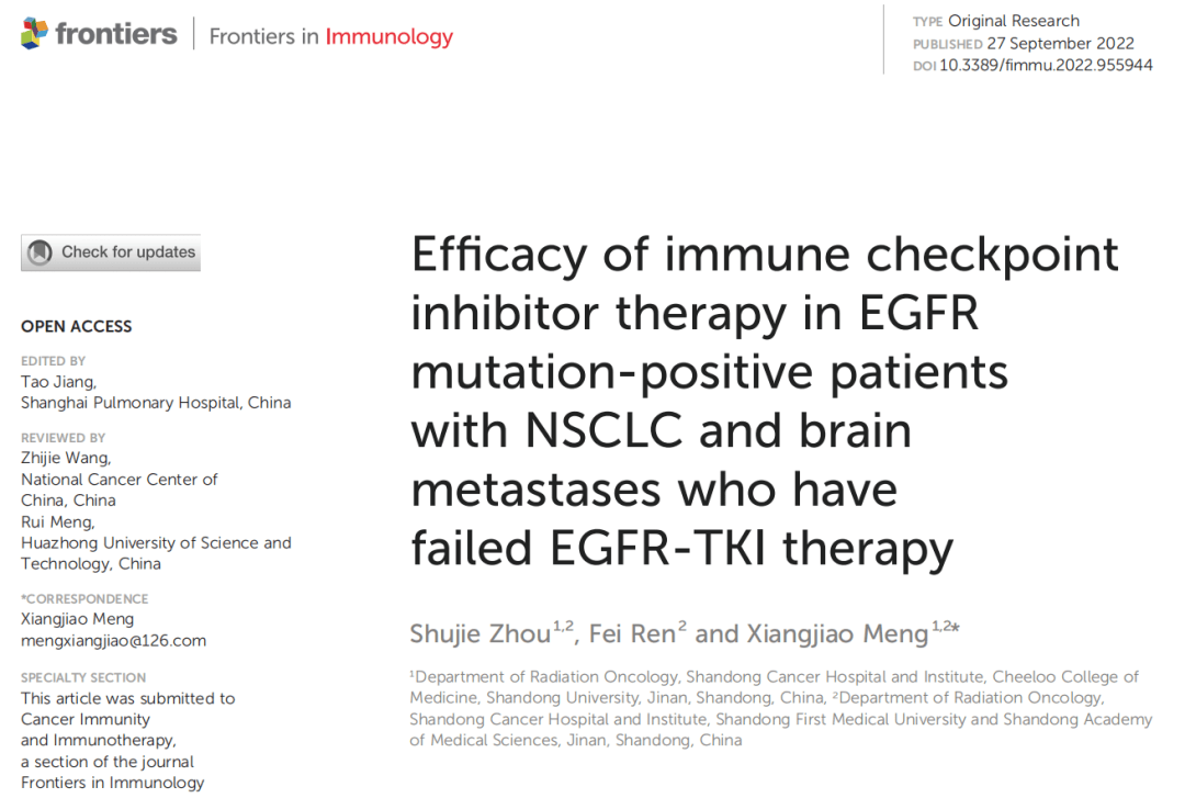 免疫治疗在EGFR-TKI耐药的非小细胞肺癌脑转移患者中的疗效分析_化疗_研究_总体