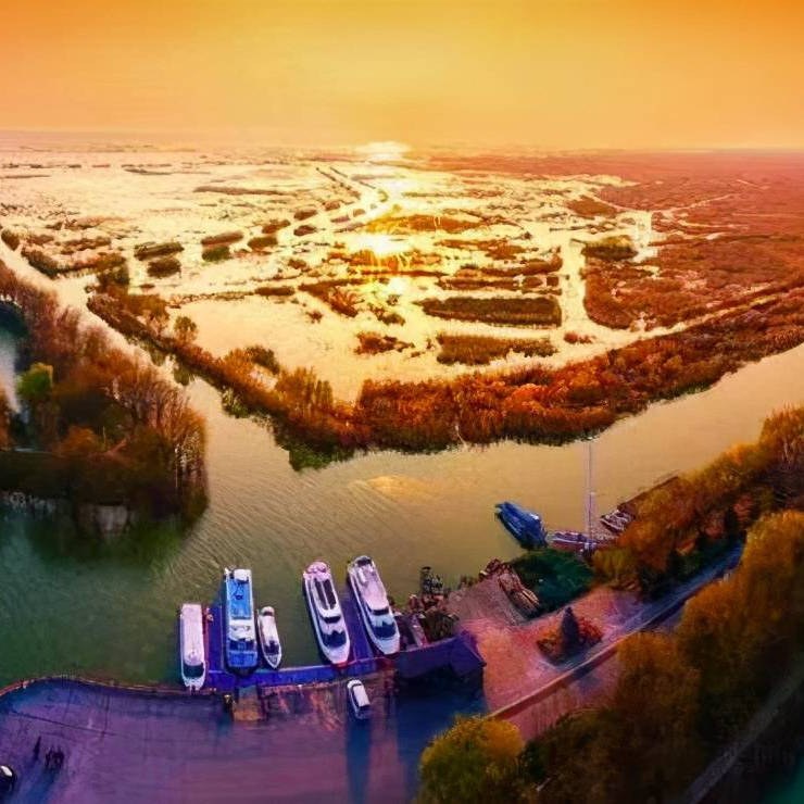 张子宇将登场WCBA！新赛季开幕前景如何？_球员_联赛_山东队