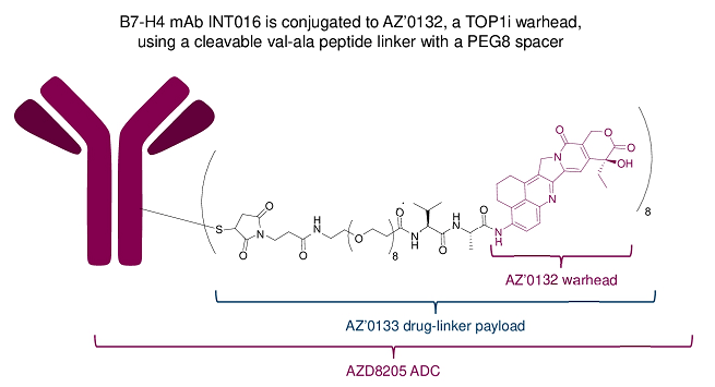 阿斯利康：自研 ADC 开始蓄势，3 款新药联袂亮相 | AACR2023_截图_肿瘤_来自