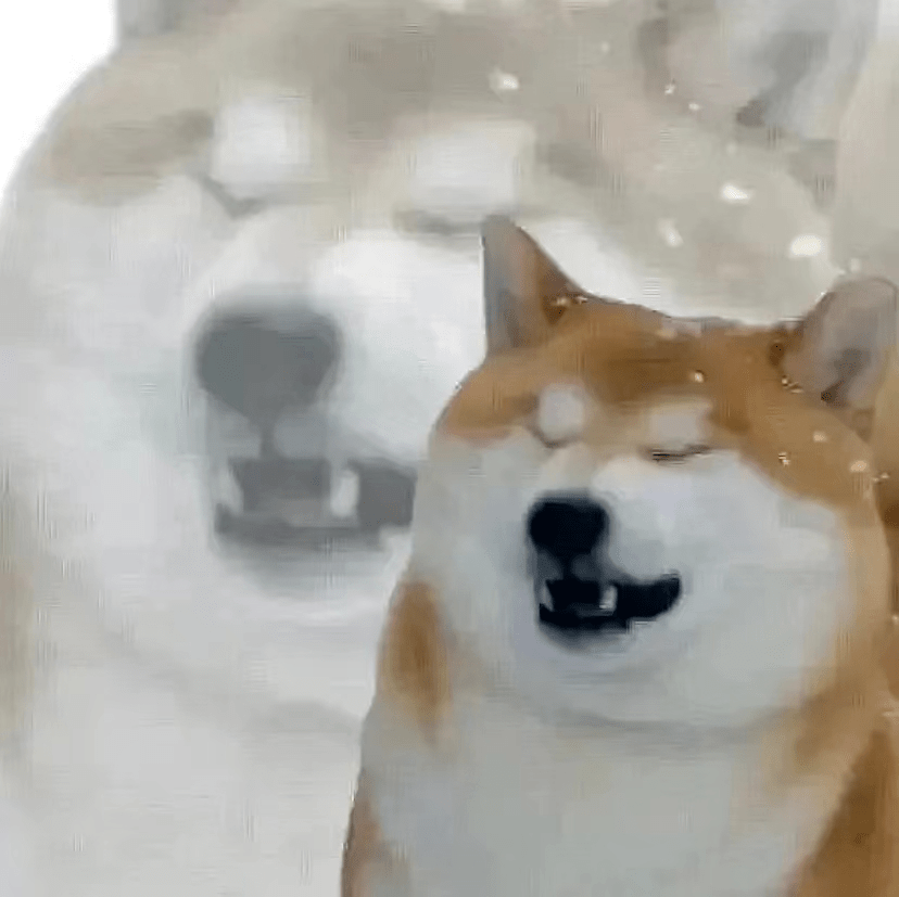 如何做到23fall没offer且不“发疯” ？！ _Offer_同学_成绩