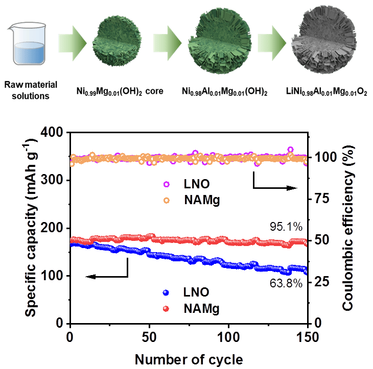 SCMs|非均相掺杂诱导表面形貌重构构建高性能LiNiO2正极材料用于锂离子电池_循环_China