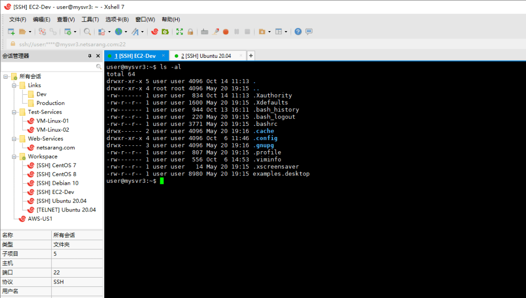 六款常用 SSH 远程连接工具_rlogin_Windows_官网