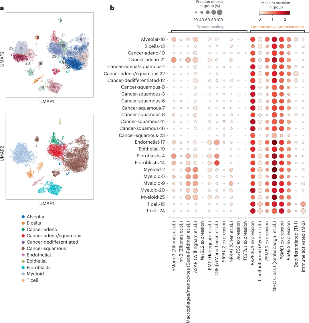 Nat Genet | WES联合RNA-seq分析揭示晚期NSCLC免疫治疗的基因组学和转录组学特征_研究_反应_相关