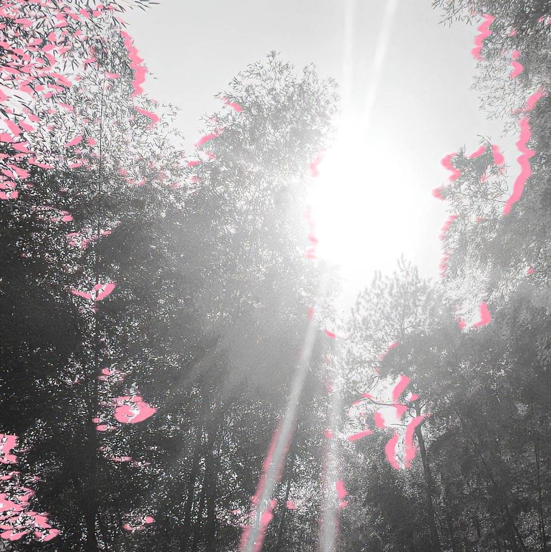 L6F-C3-200kg-3B6传感器工业称重_中航电测_量程_杨工