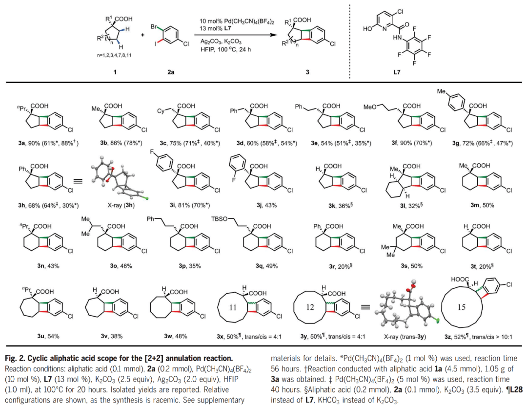 余金权最新Science：钯催化脂肪酸与芳基二卤化物的区域可控[2+2]环化反应_合成_Fig_产物