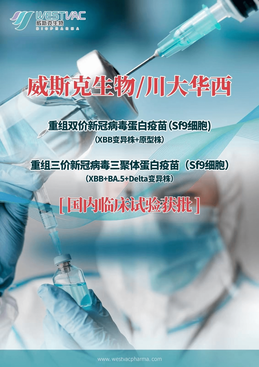 全球首个！威斯克生物／川大华西研发的针对XBB等新冠病毒的重组多价新冠蛋白疫苗获国家药监局临床试验批件_生产_变异