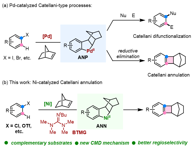 【有机】逃脱钯催化：镍催化的Catellani环化反应_进行_过程_冰片