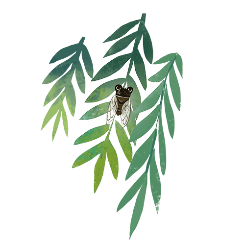 CHDer的专属PPT模板上新啦！_青春_学子_元素